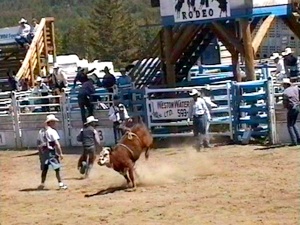 Rodeo