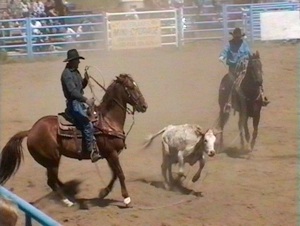 Rodeo